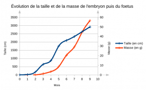 Courbe poids foetus mois par mois | Maman-info
